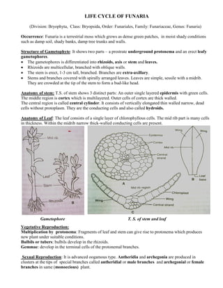 Life cycle of_funaria | PDF | Biological Sciences | Science