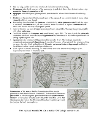 Life cycle of_funaria | PDF