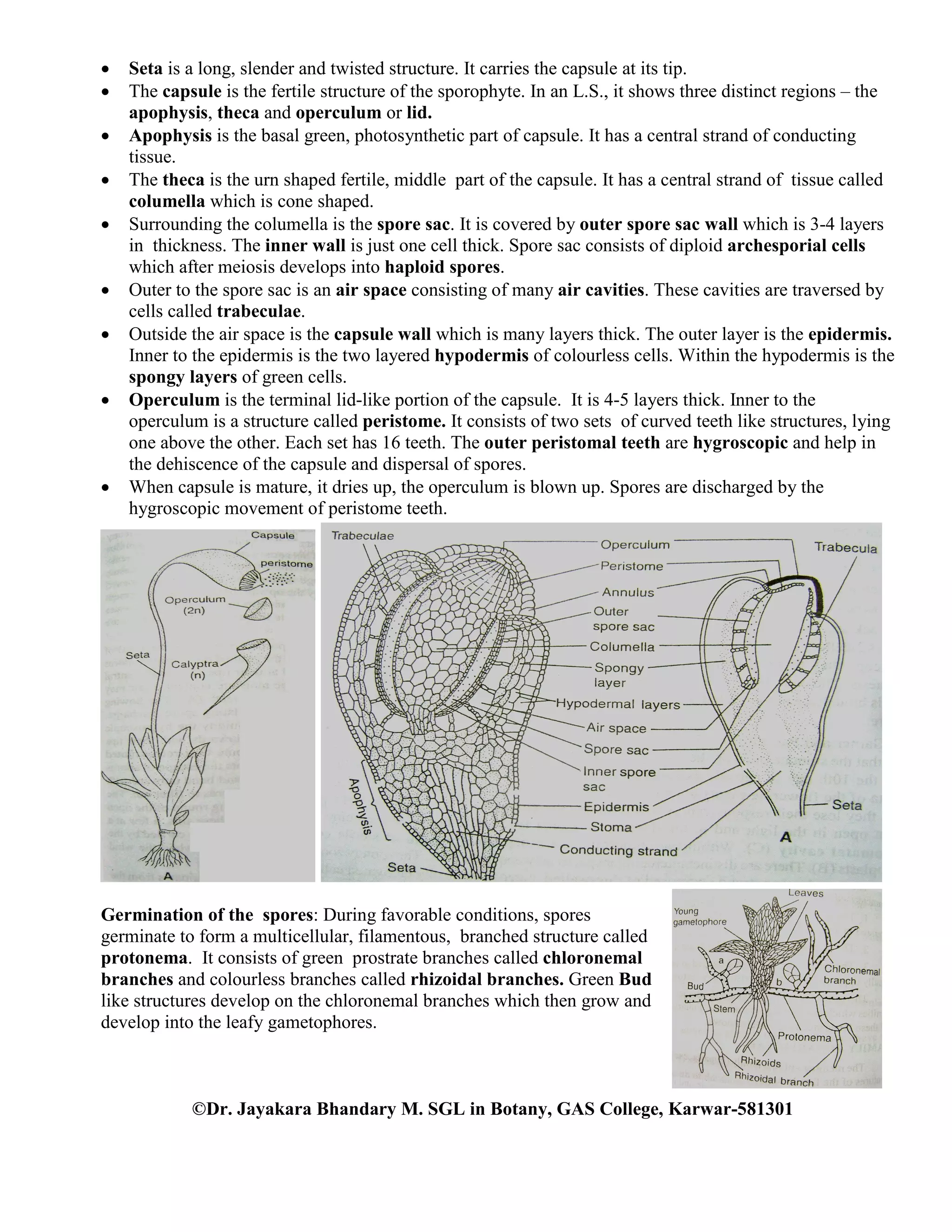 Life cycle of_funaria-jb | PDF