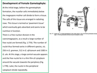 Life cycle of gnetum | PPTX