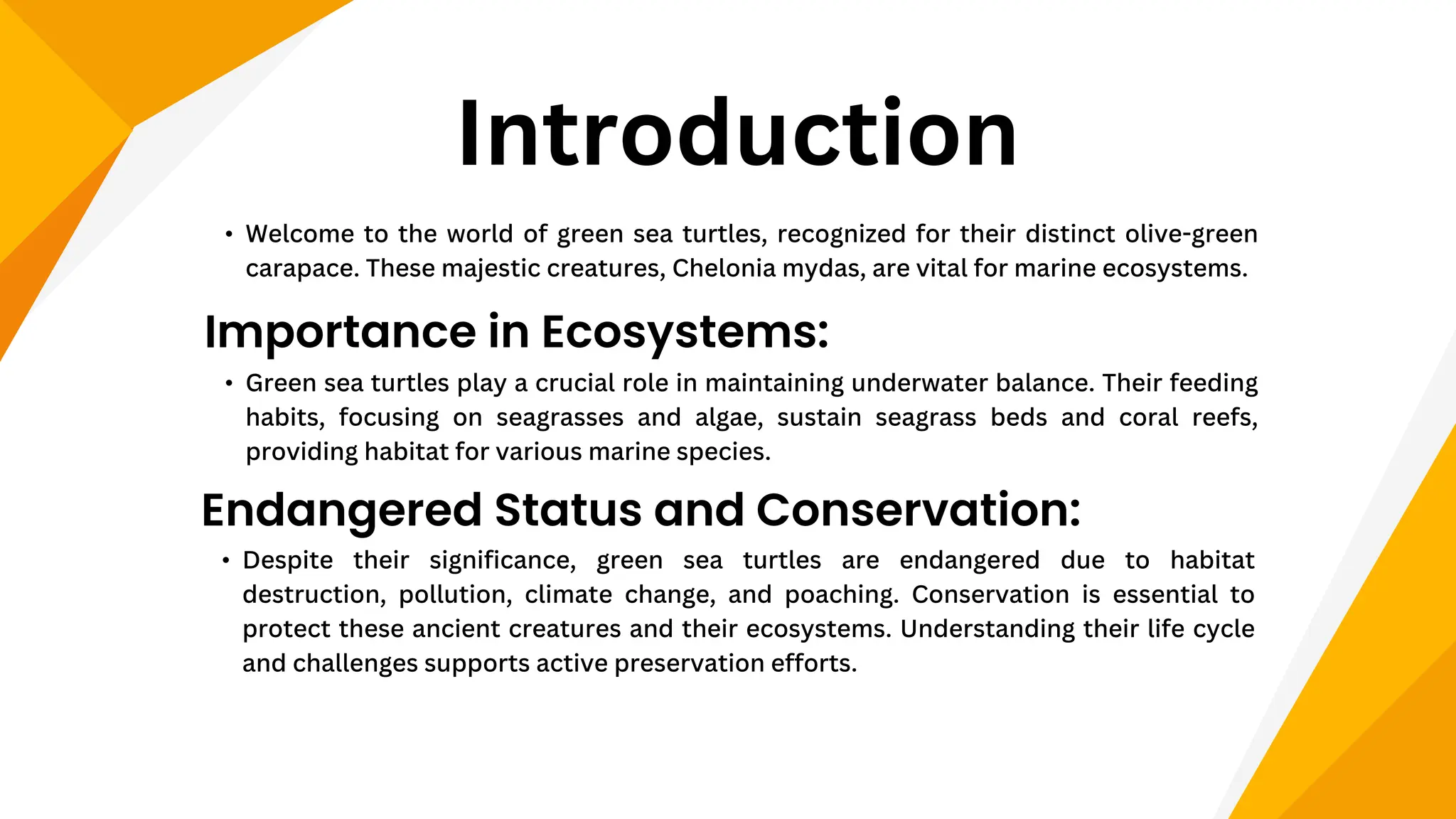 Cayman Turtle Centre: Exploring the Life Cycle of Green Sea Turtles | PPTX