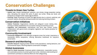Cayman Turtle Centre: Exploring the Life Cycle of Green Sea Turtles | PPTX