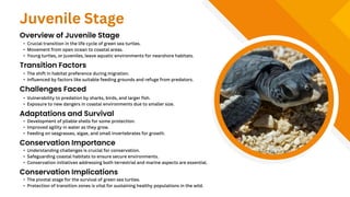 Cayman Turtle Centre: Exploring the Life Cycle of Green Sea Turtles ...