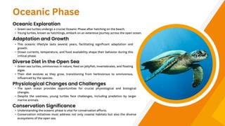 Cayman Turtle Centre: Exploring the Life Cycle of Green Sea Turtles | PPTX