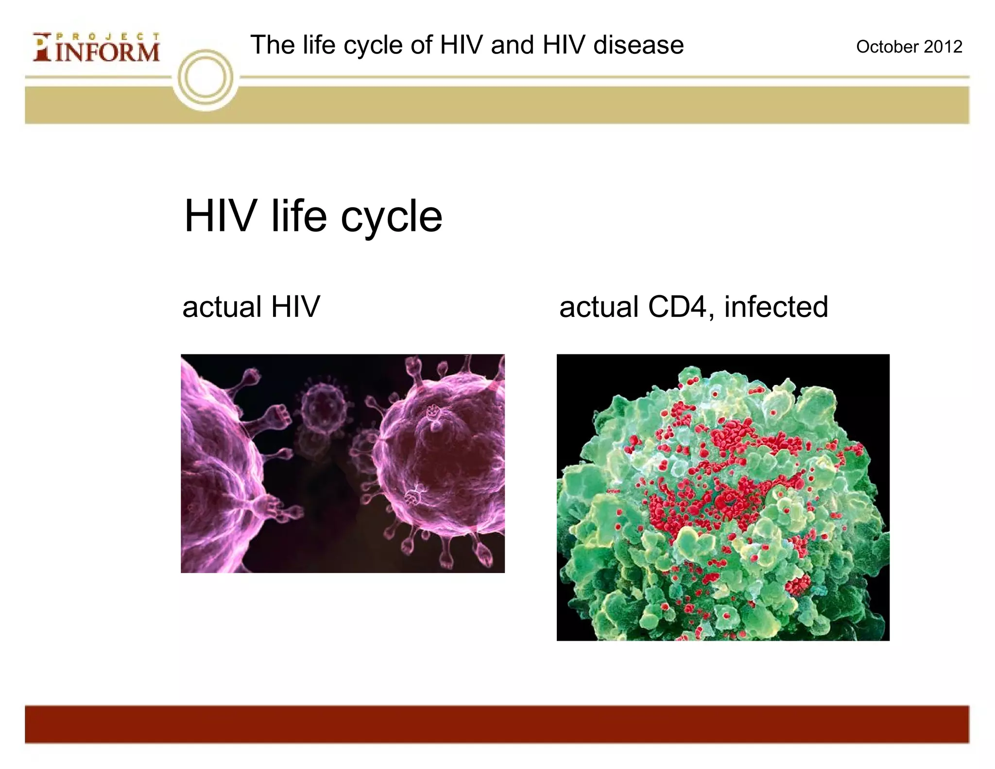 Life Cycle of HIV PLUS January 2013 | PPT