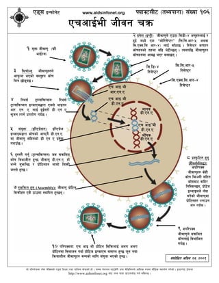Life cycle of hiv aids | PDF