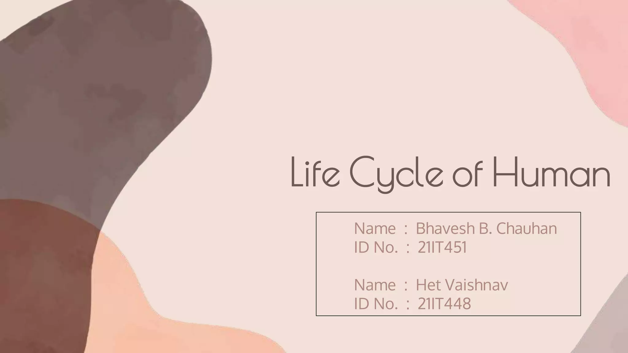 Life Cycle of Human.pptx