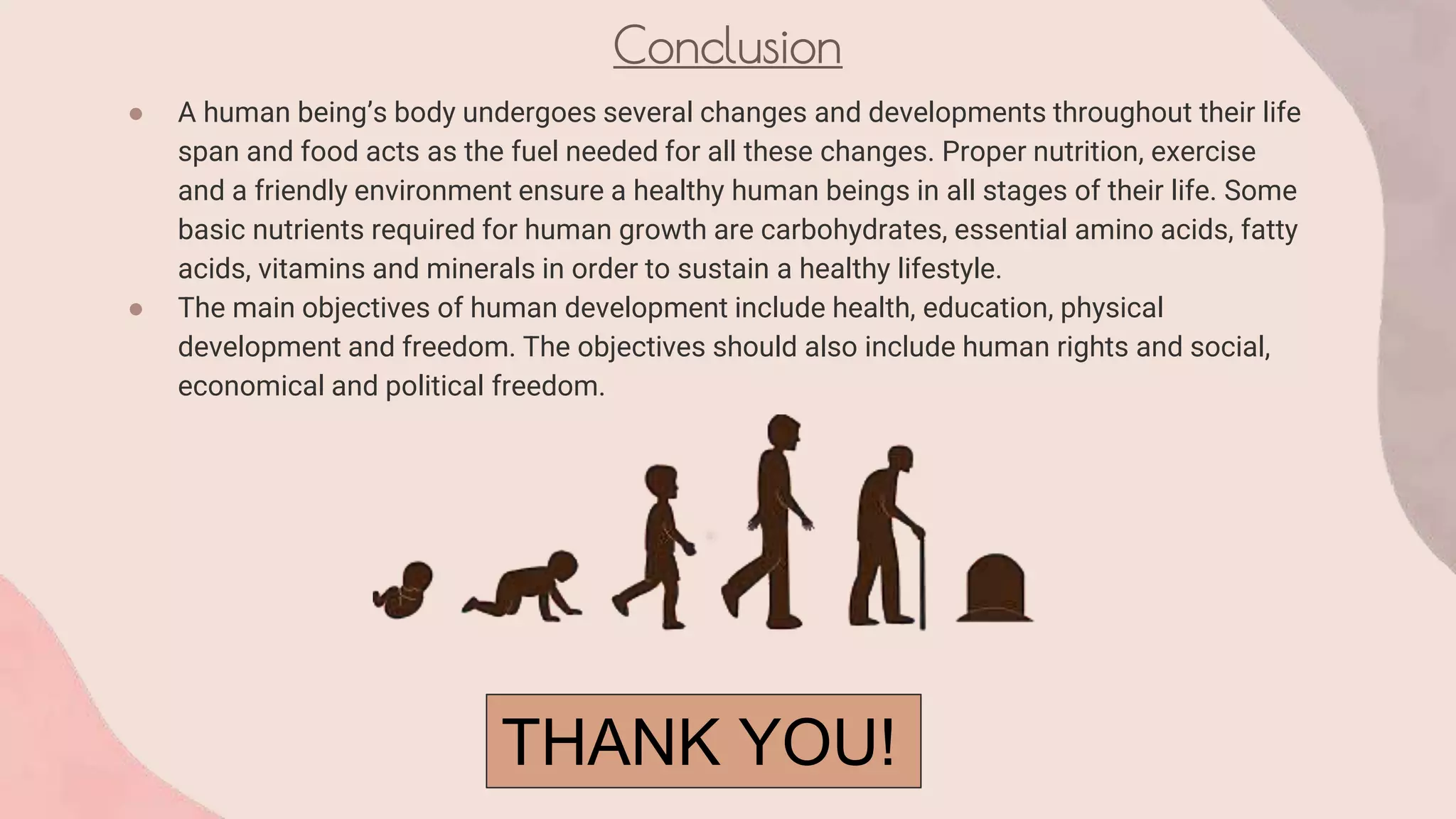 Life Cycle of Human.pptx