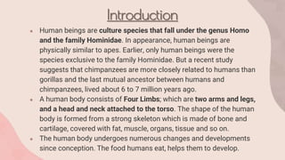 Life Cycle of Human.pptx