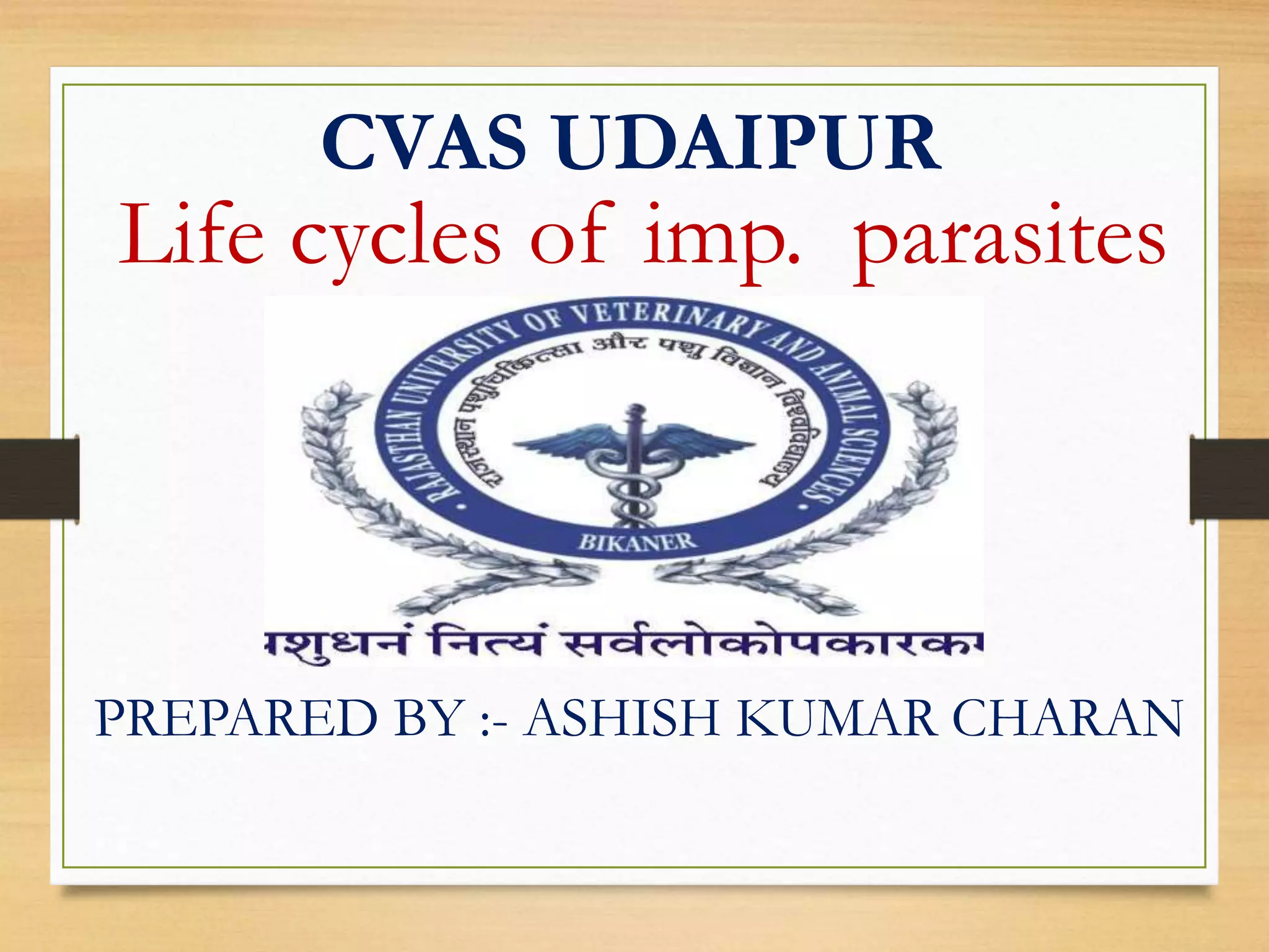 Life cycle of imp. parasites | PPTX