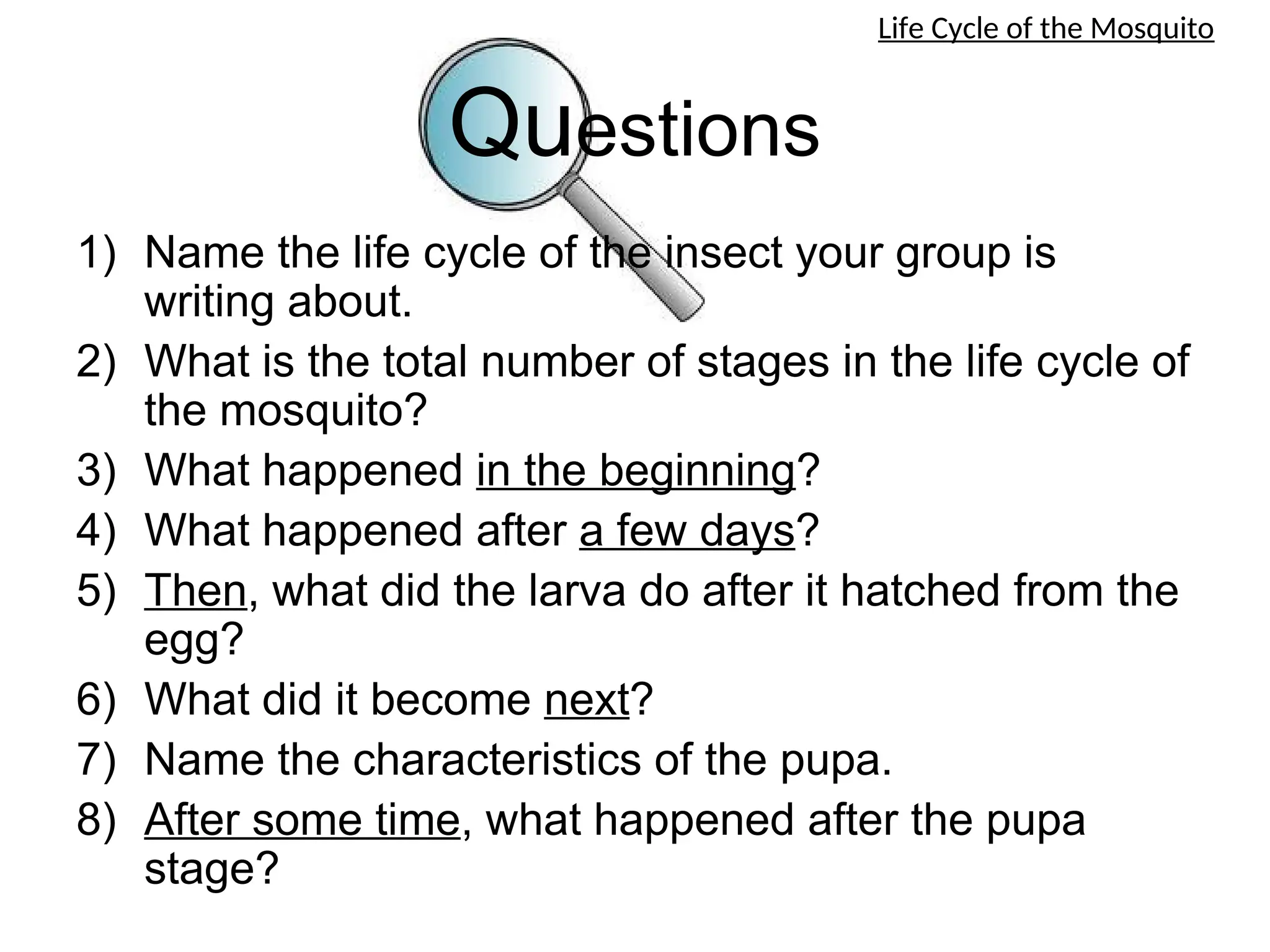 life cycle of insects.ppt elementary grades | PPT