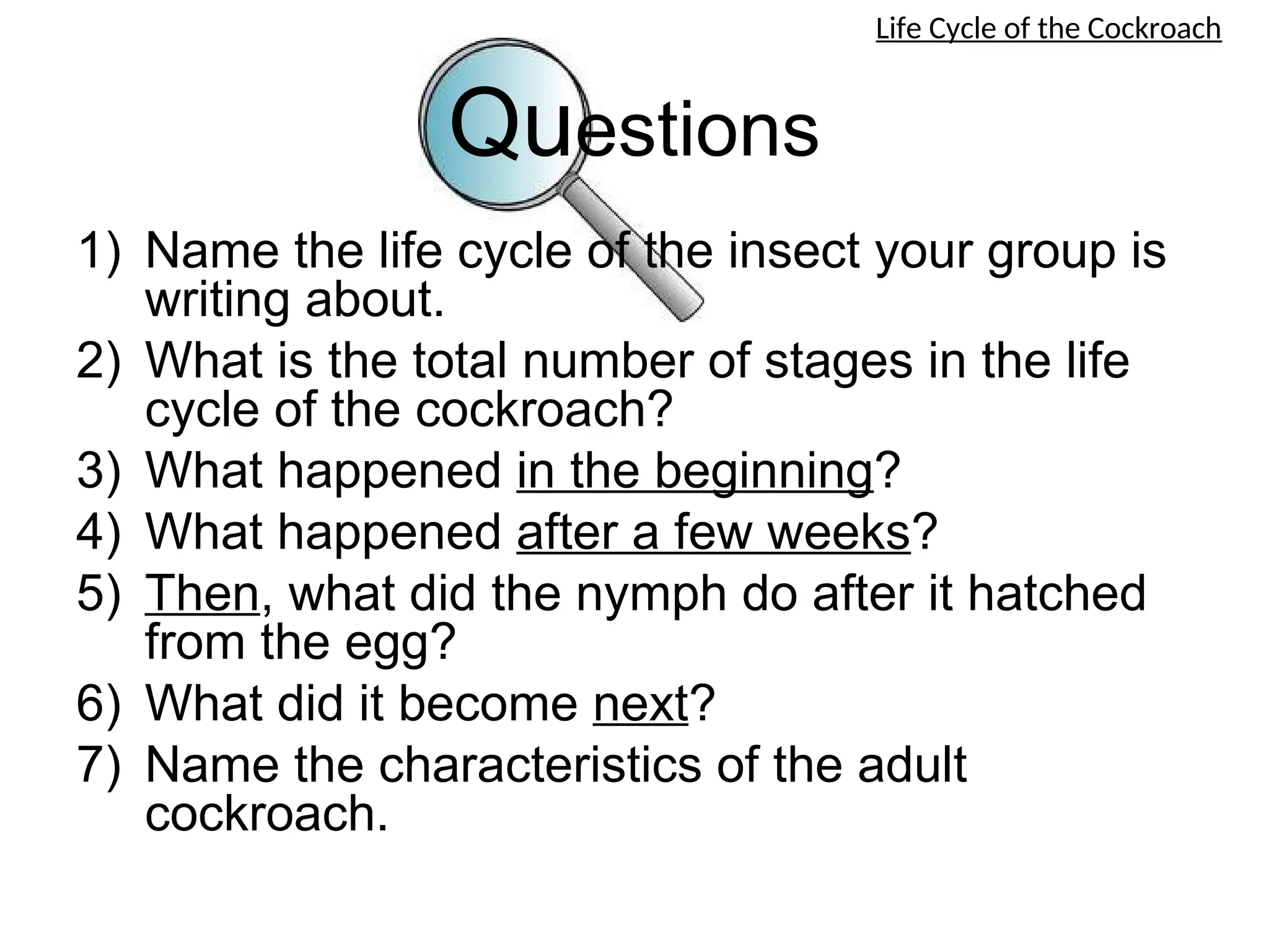 life cycle of insects.ppt elementary grades | PPT