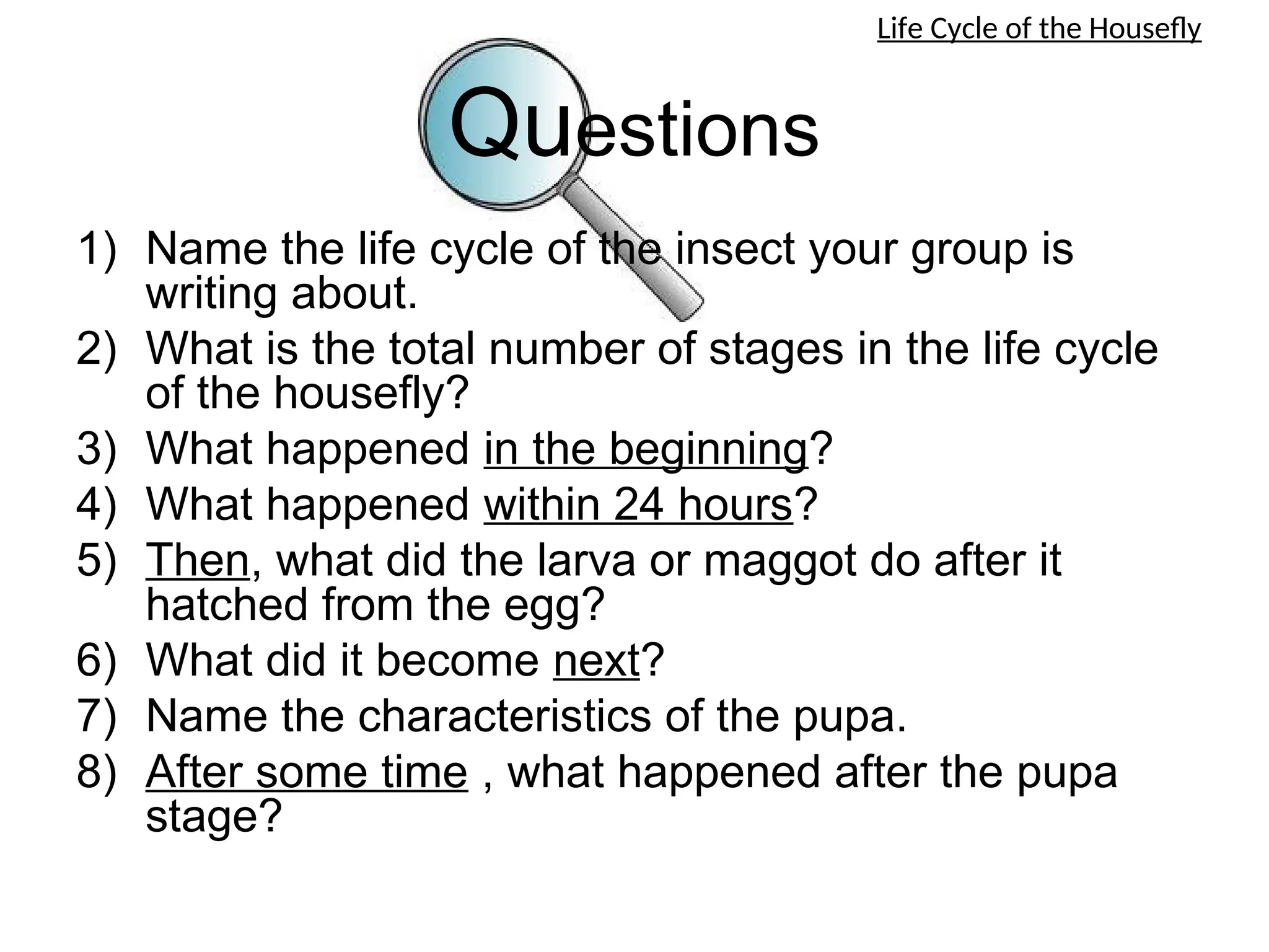 life cycle of insects.ppt elementary grades | PPT