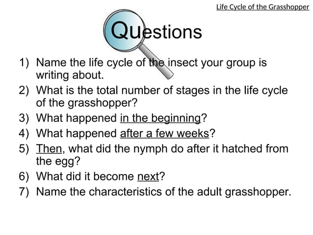 life cycle of insects.ppt elementary grades | PPT