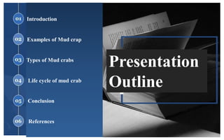 Life cycle of mud crab | PDF | Fish and Aquariums | Pets