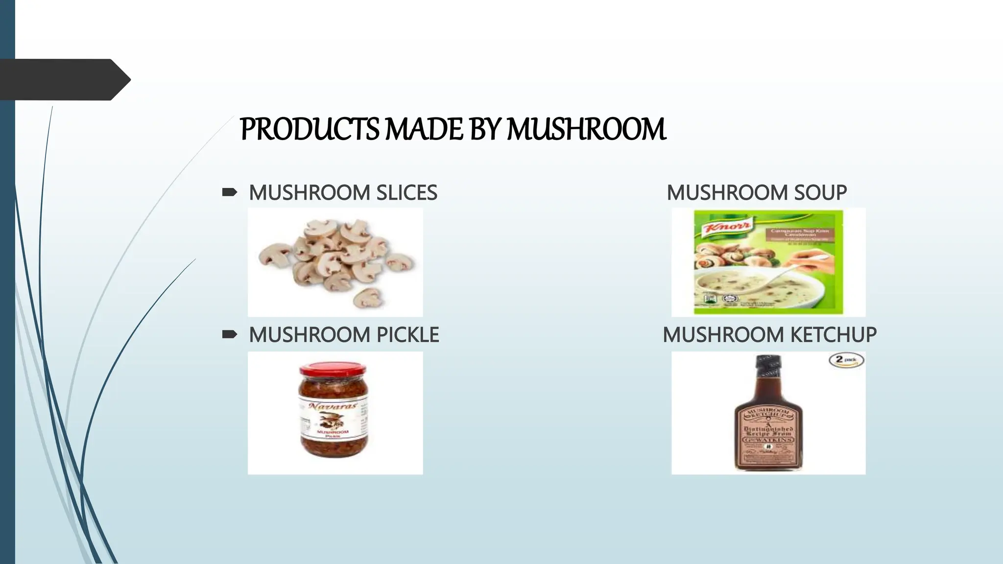 lifecycleofmushroomppt-230306051625-2fe06a45.pptx