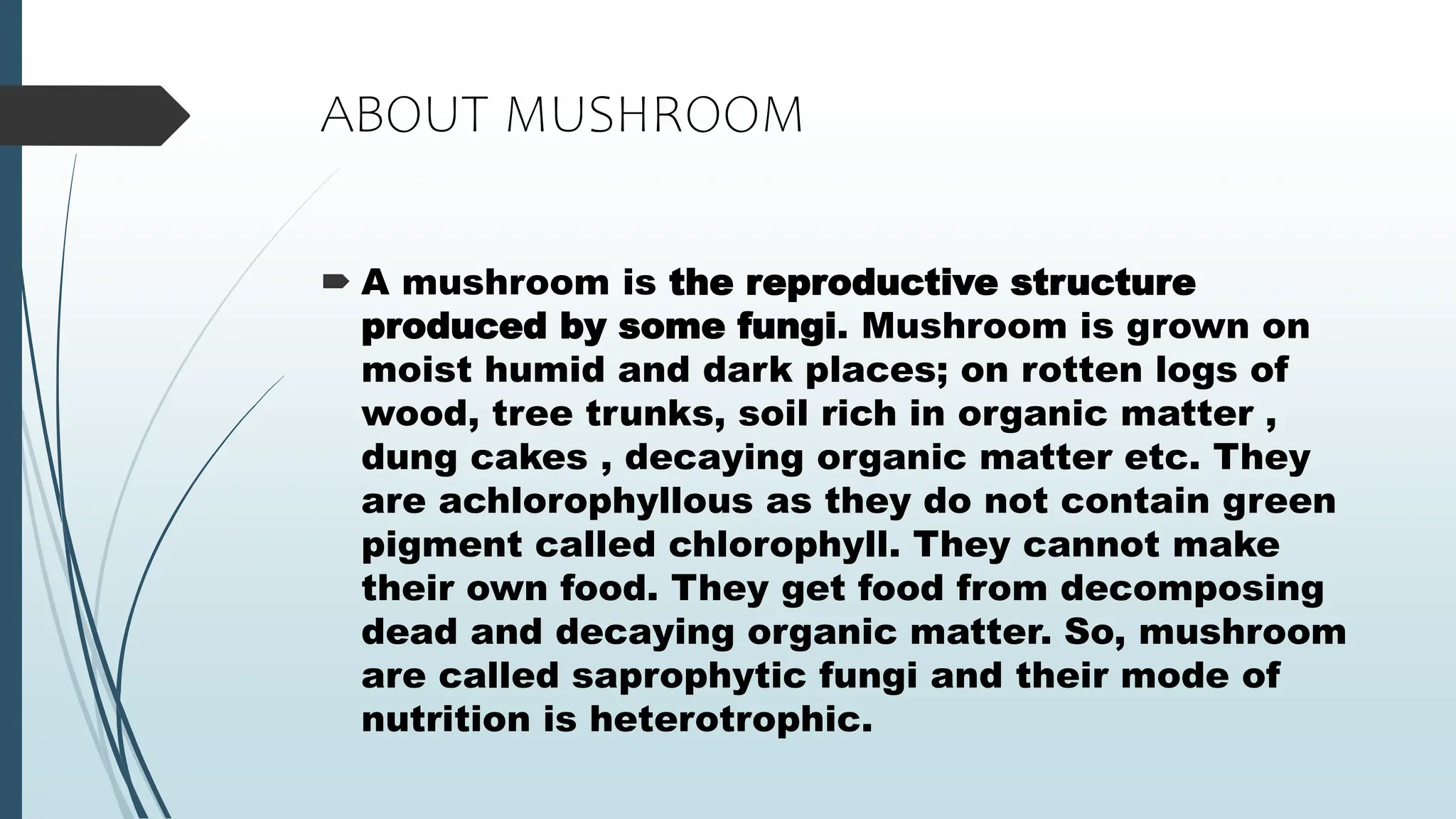 lifecycleofmushroomppt-230306051625-2fe06a45.pptx