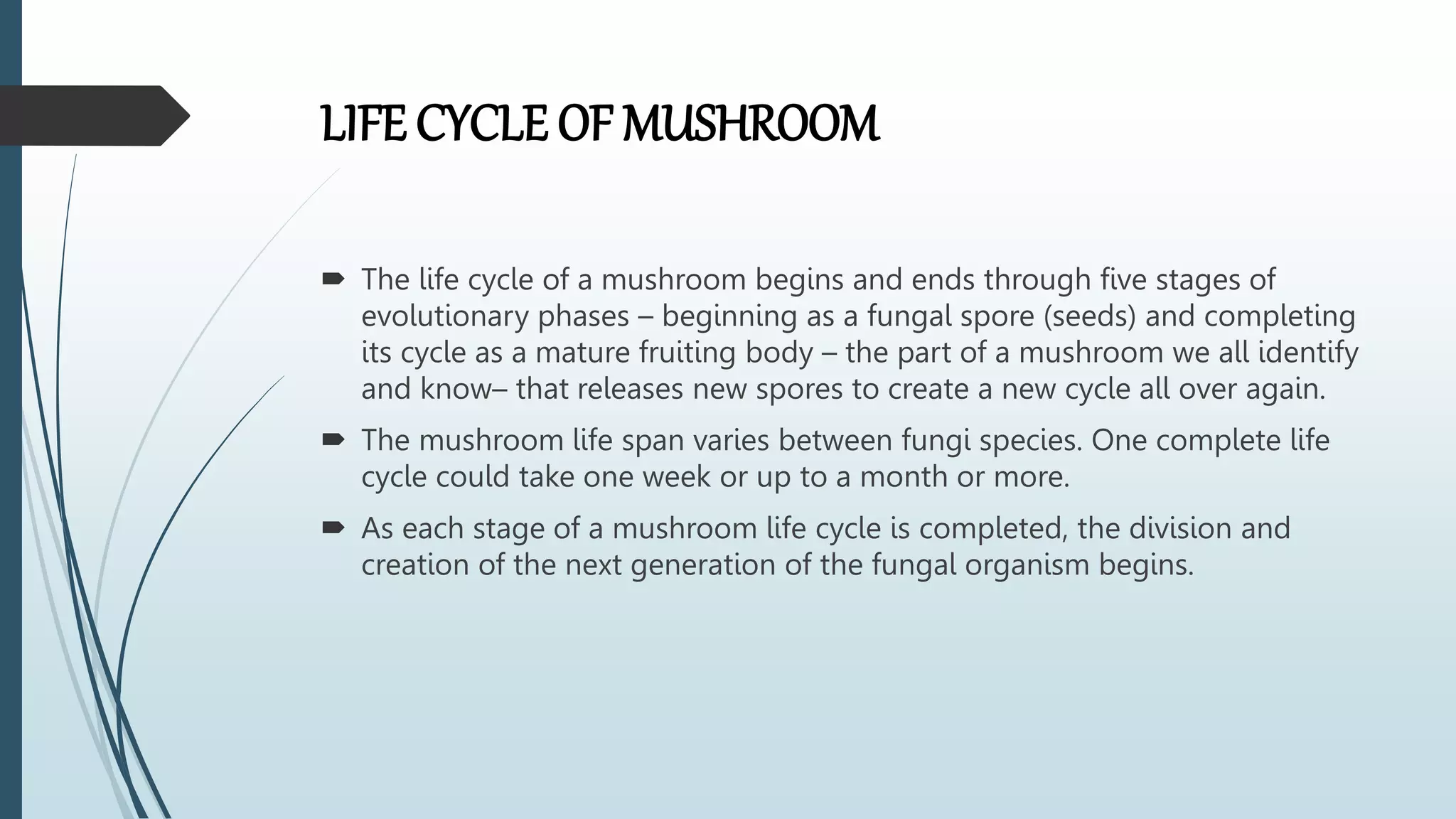 LIFE CYCLE OF MUSHROOM | PPTX