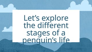 Life Cycle of Penguin Lesson Slides..pptx