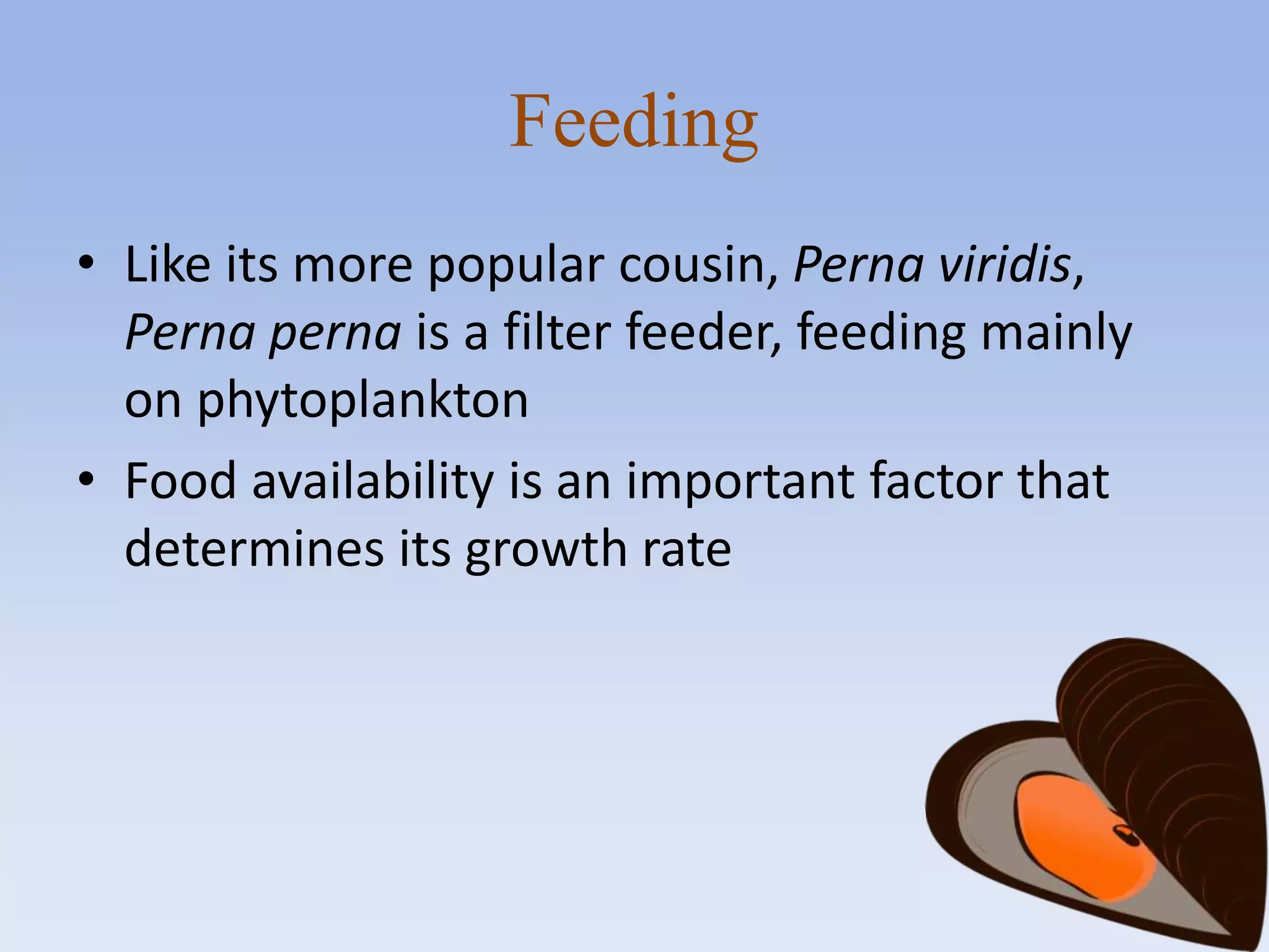 Life cycle of perna perna (brown mussels | PPTX