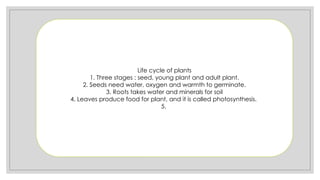 primary science Life cycle of plants.pptx