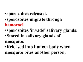 Life cycle of plasmodium | PPTX