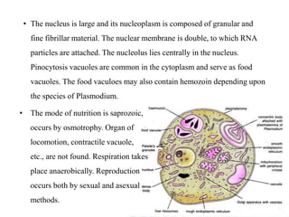 Ultra structure and life cycle of Plasmodium.pptx