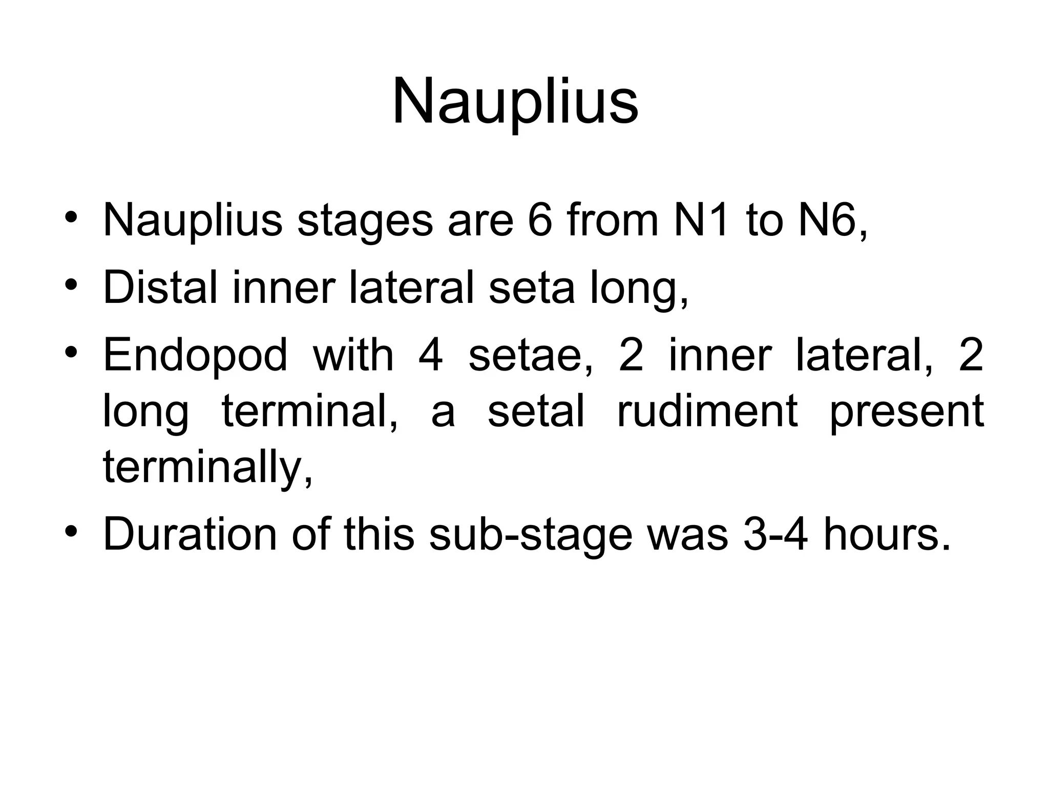 Life cycle of prawn | PPT