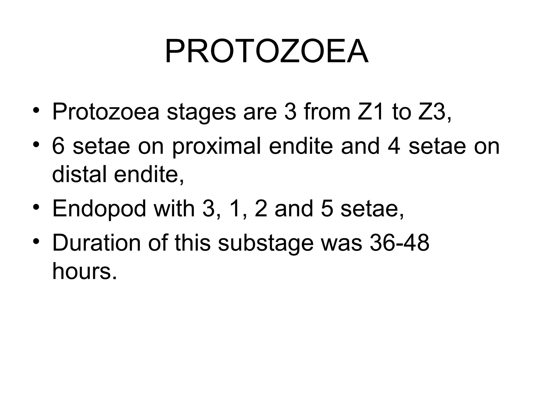 Life cycle of prawn | PPT