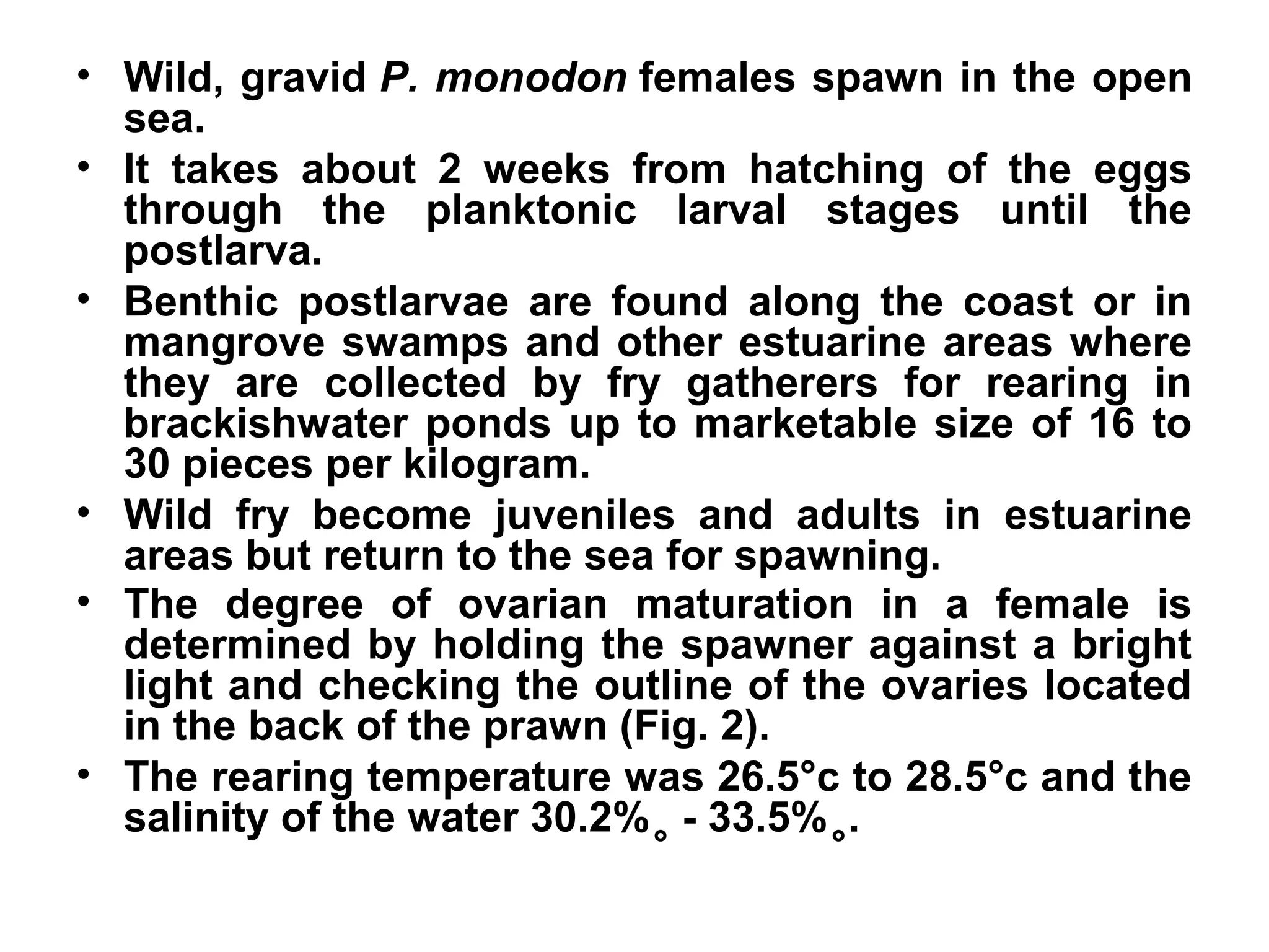 Life cycle of prawn | PPT