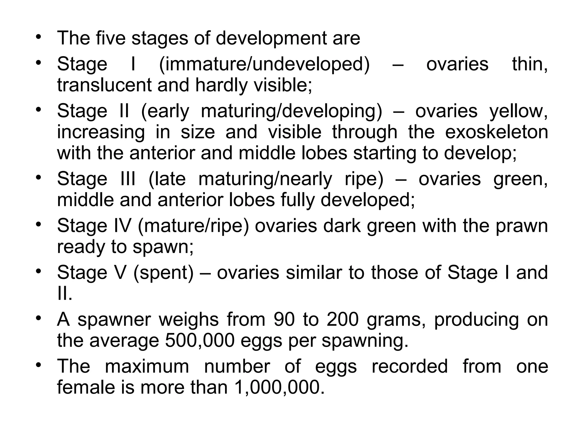 Life cycle of prawn | PPT