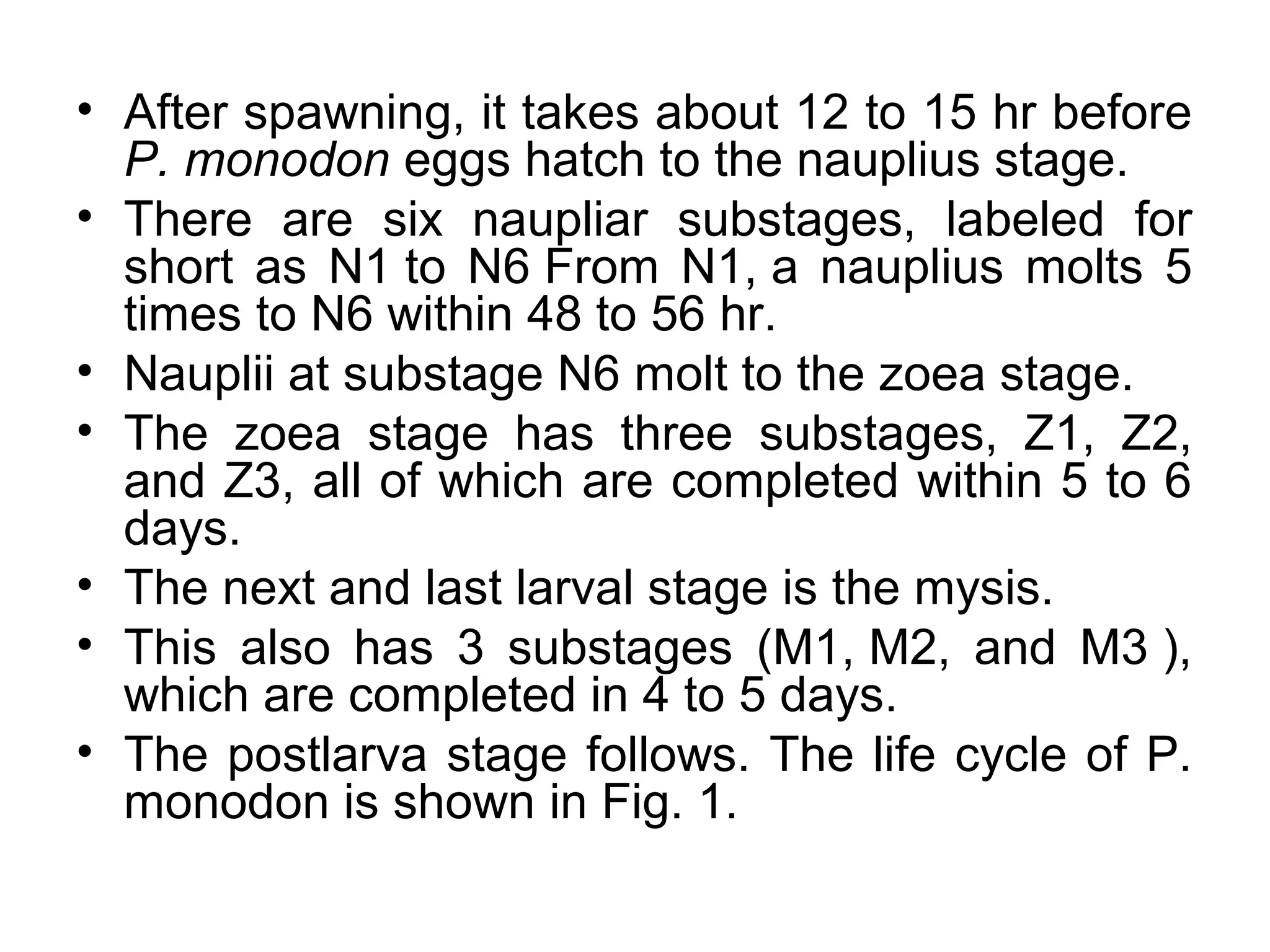 Life cycle of prawn | PPT