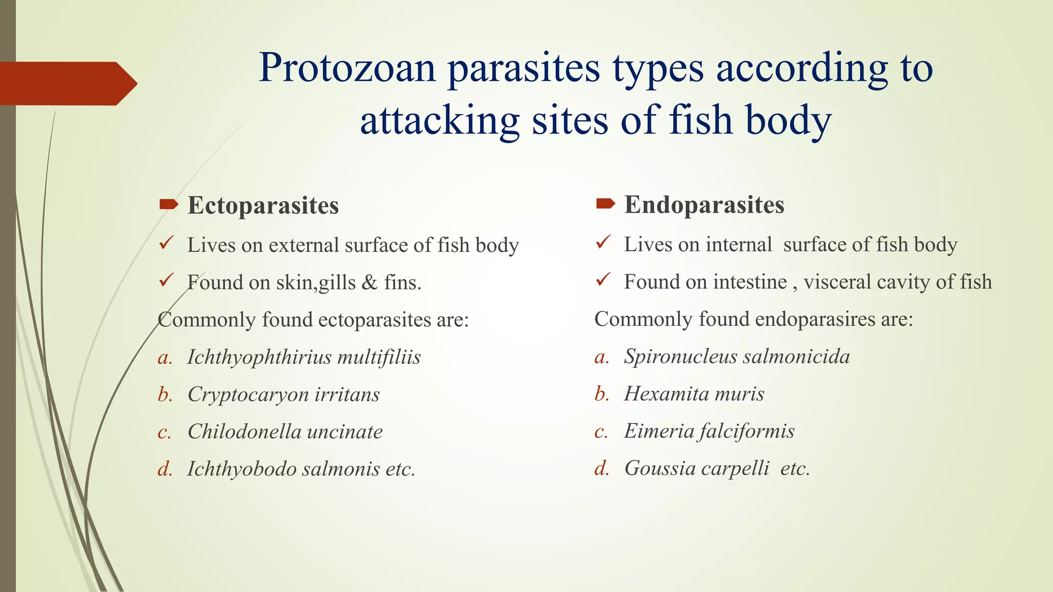 Life cycle of protozoan parasites | PPT
