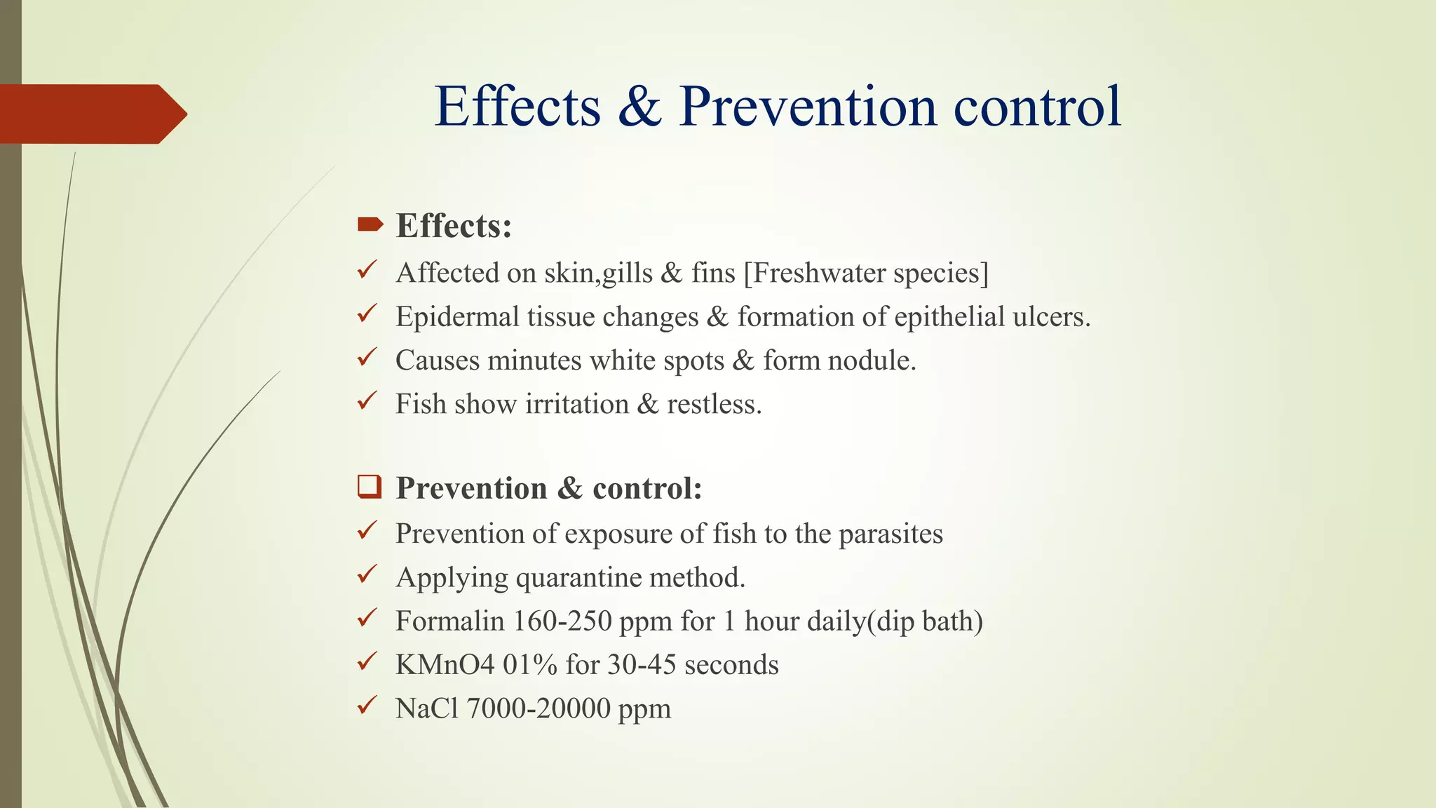 Life cycle of protozoan parasites | PPTX
