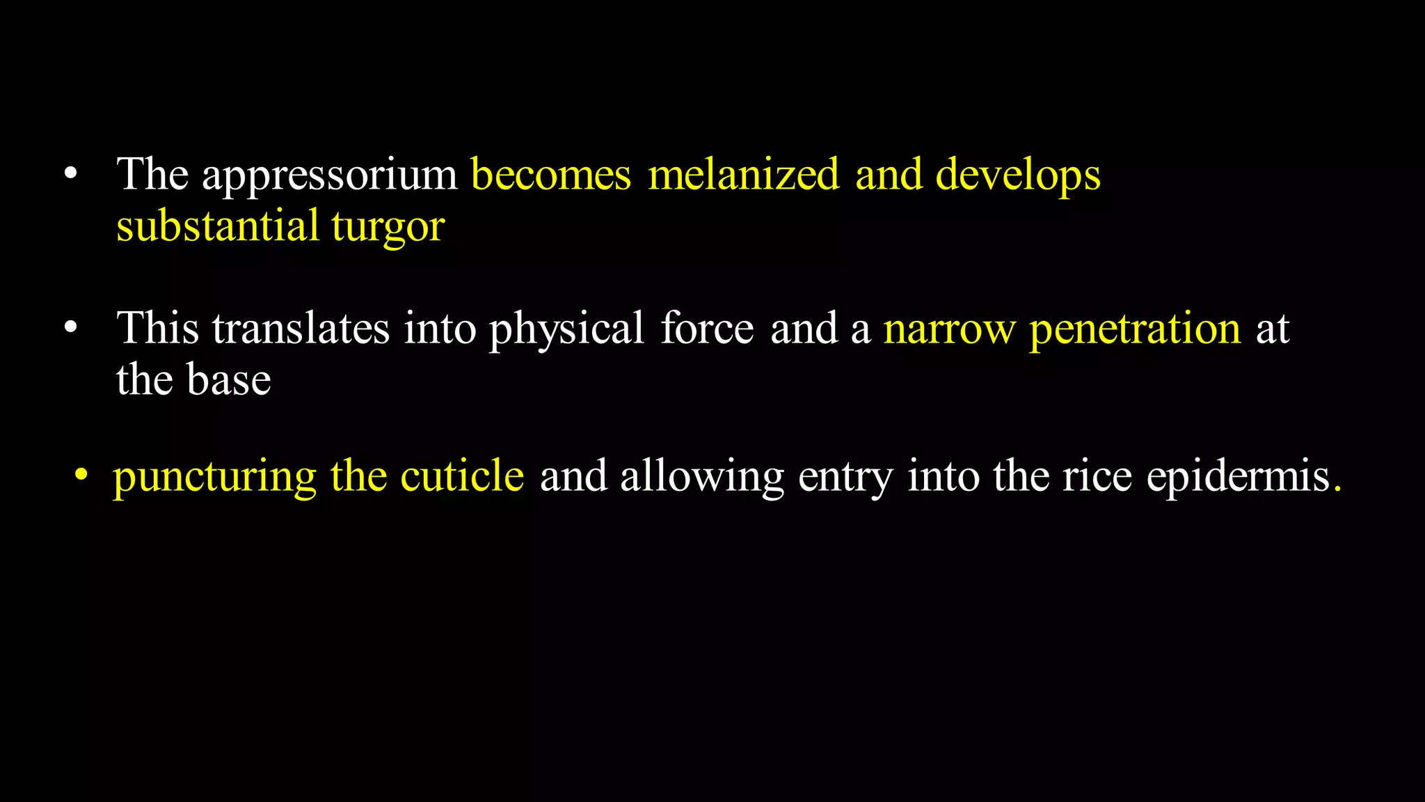 LIFE CYCLE OF PYRICULARIA.pdf