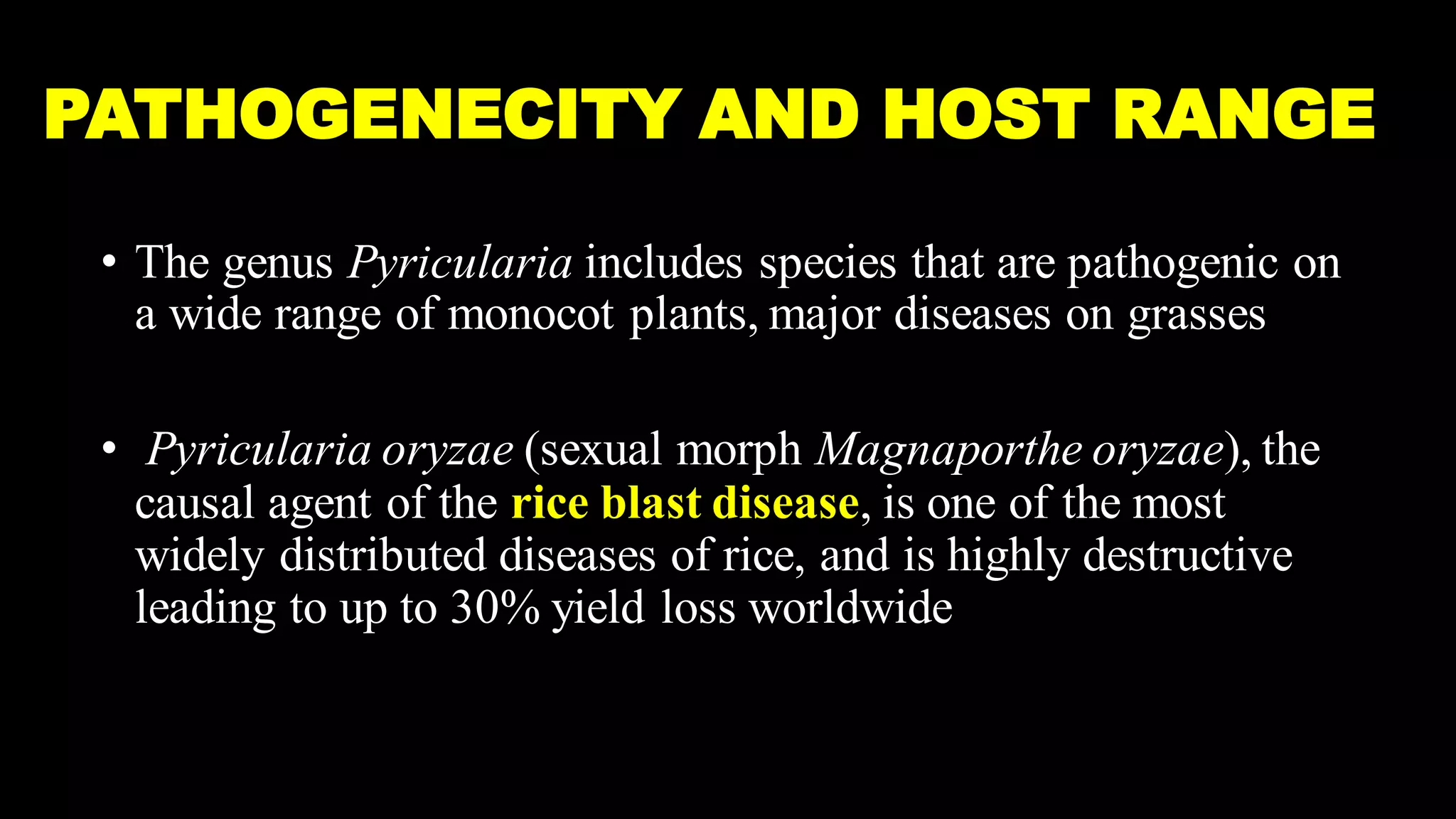 LIFE CYCLE OF PYRICULARIA.pdf