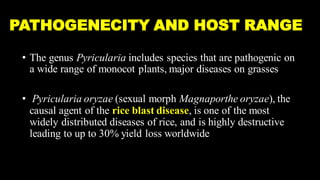 LIFE CYCLE OF PYRICULARIA.pdf