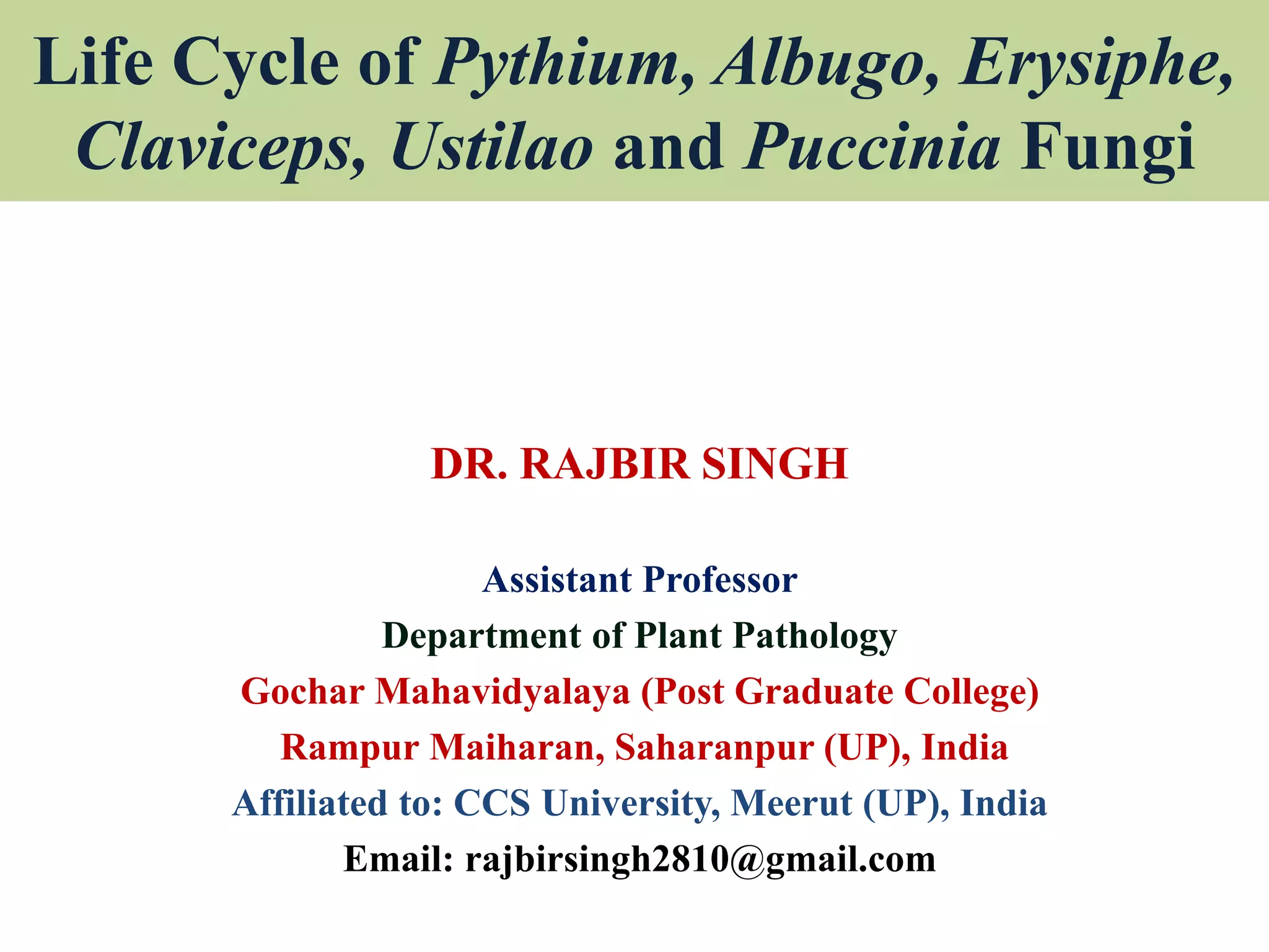 Life cycle of Pythium, Albugo, Erysiphe, Claviceps, Ustilao and ...