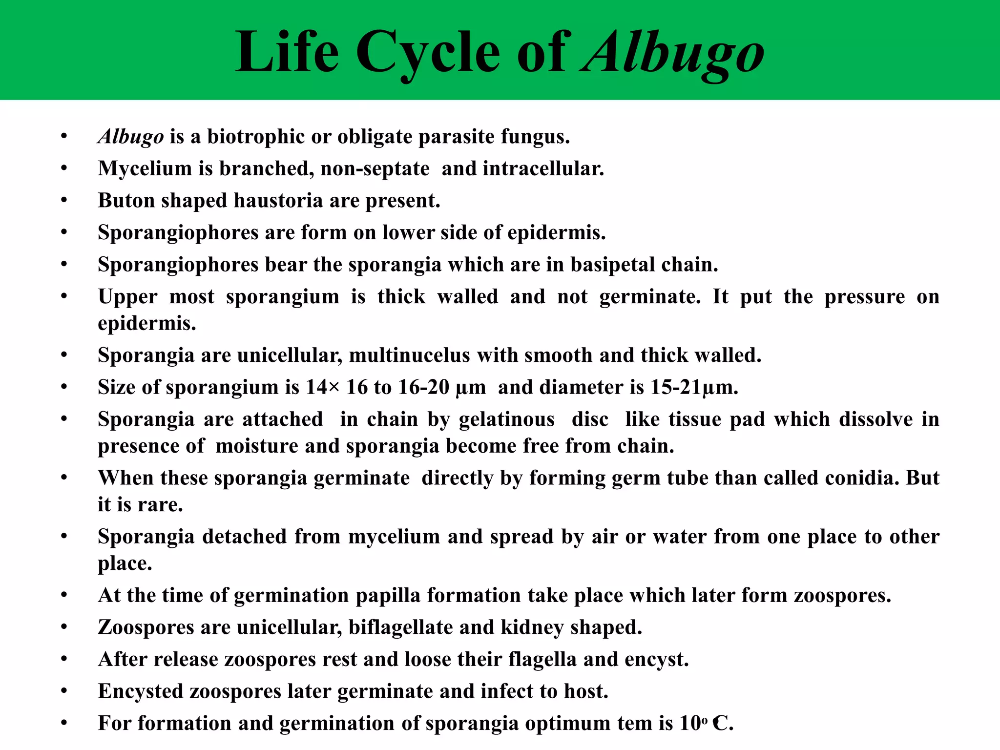 Life cycle of Pythium, Albugo, Erysiphe, Claviceps, Ustilao and ...