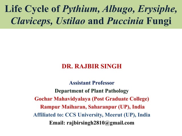 Life cycle of Pythium, Albugo, Erysiphe, Claviceps, Ustilao and ...