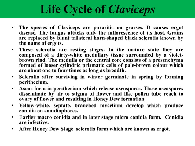 Life cycle of Pythium, Albugo, Erysiphe, Claviceps, Ustilao and ...