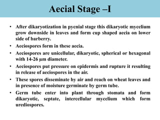 Life cycle of Pythium, Albugo, Erysiphe, Claviceps, Ustilao and ...