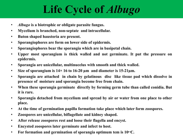 Life cycle of Pythium, Albugo, Erysiphe, Claviceps, Ustilao and ...