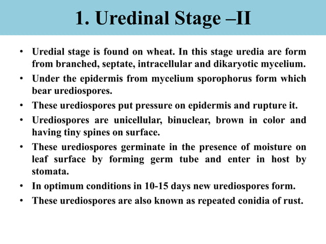 Life cycle of Pythium, Albugo, Erysiphe, Claviceps, Ustilao and ...
