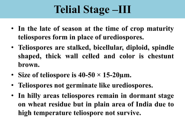 Life cycle of Pythium, Albugo, Erysiphe, Claviceps, Ustilao and ...