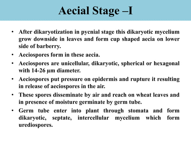 Life cycle of Pythium, Albugo, Erysiphe, Claviceps, Ustilao and ...