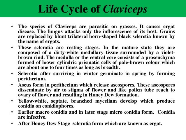 Life cycle of Pythium, Albugo, Erysiphe, Claviceps, Ustilao and Pucci…