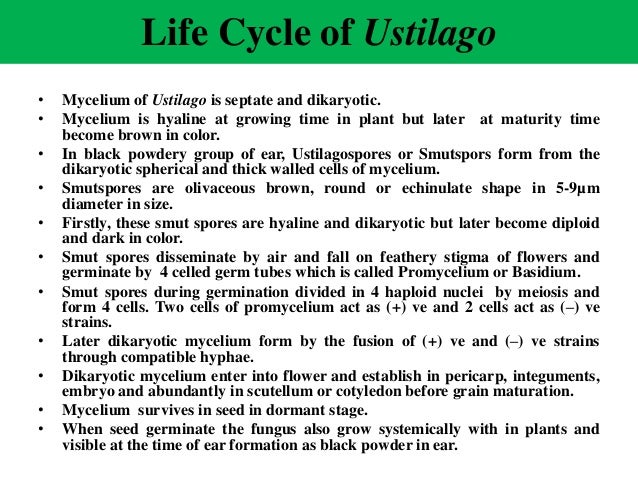 Life cycle of Pythium, Albugo, Erysiphe, Claviceps, Ustilao and Pucci…