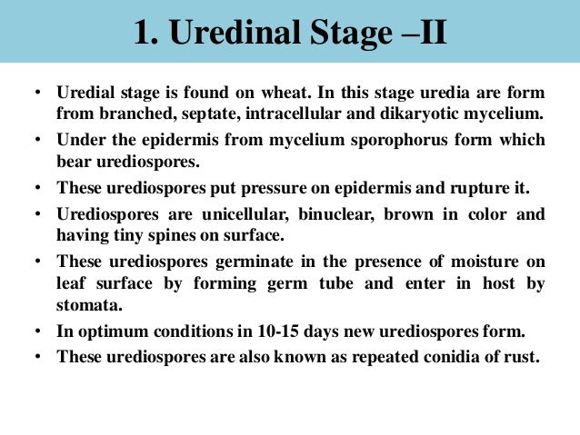 Life cycle of Pythium, Albugo, Erysiphe, Claviceps, Ustilao and Pucci…