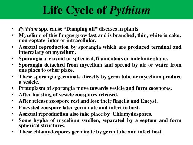 Life cycle of Pythium, Albugo, Erysiphe, Claviceps, Ustilao and Pucci…